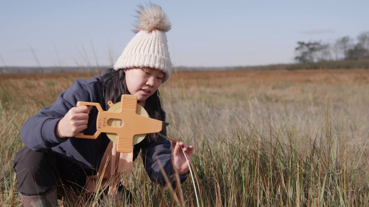 Mass Audubon's Early Career Programs for Young Professionals - YouTube
