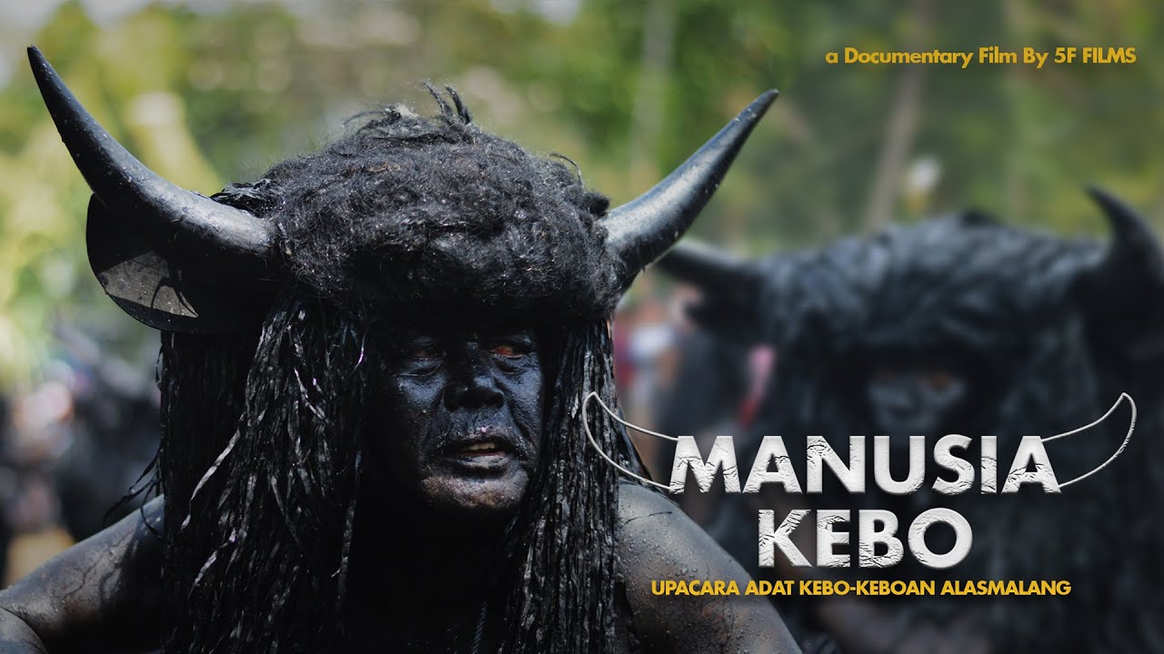 MANUSIA KEBO | UPACARA ADAT KEBO-KEBOAN DESA ALASMALANG - YouTube