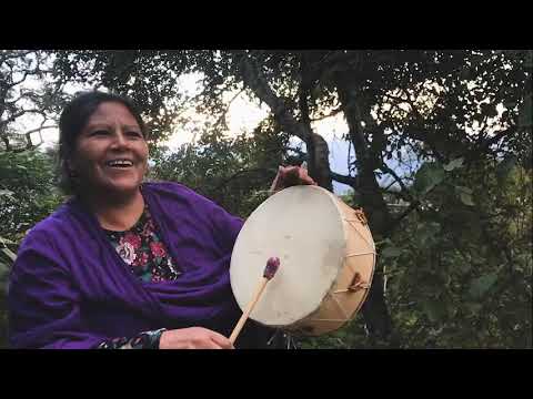 Taller: Los Secretos del Canto con Caja con Balbina Ramos - YouTube