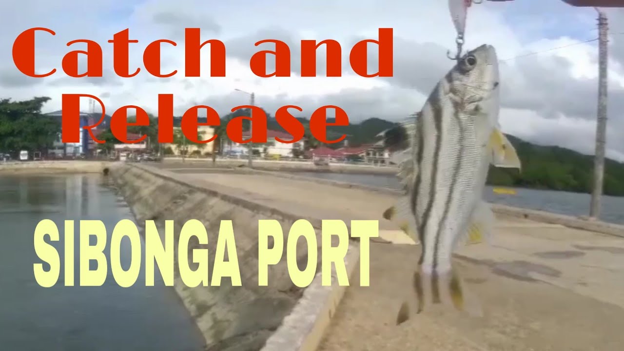 Cebu Fishing Spot|Sibonga Port|Catch and Release - YouTube