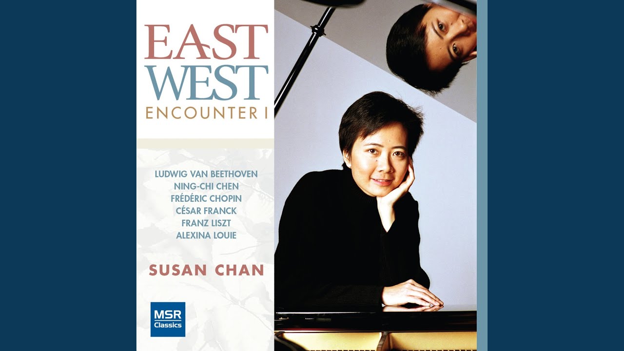 Piano Sonata No.27 in E minor, Op.90: I. Mit Lebhaftigkeit und durchaus ...