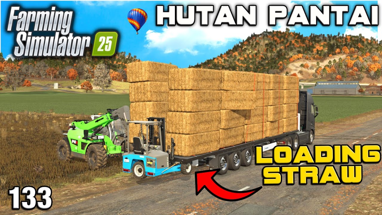 STARTING TO LOAD THE HUGE STRAW STACK AND SELL IT Hutan Pantai FS25 Ep ...