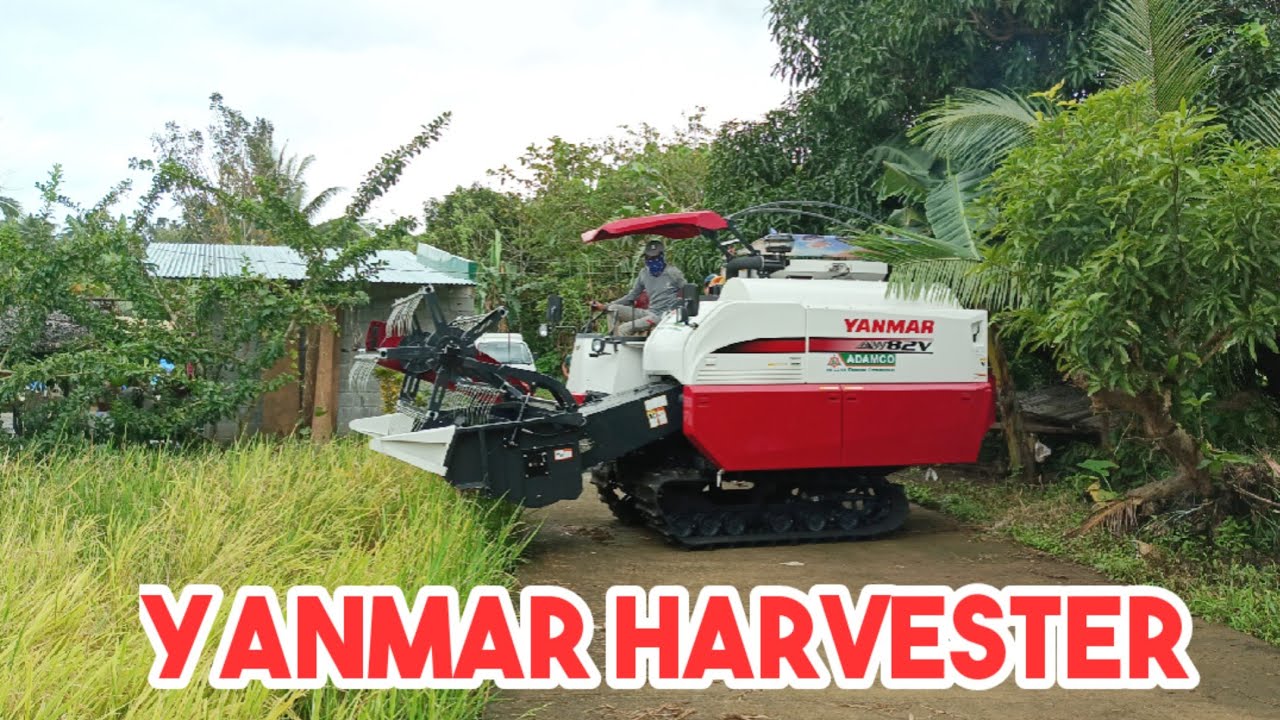 Unang Harvest | Yanmar Harvester AW82V | Rice Combine Harvester - YouTube