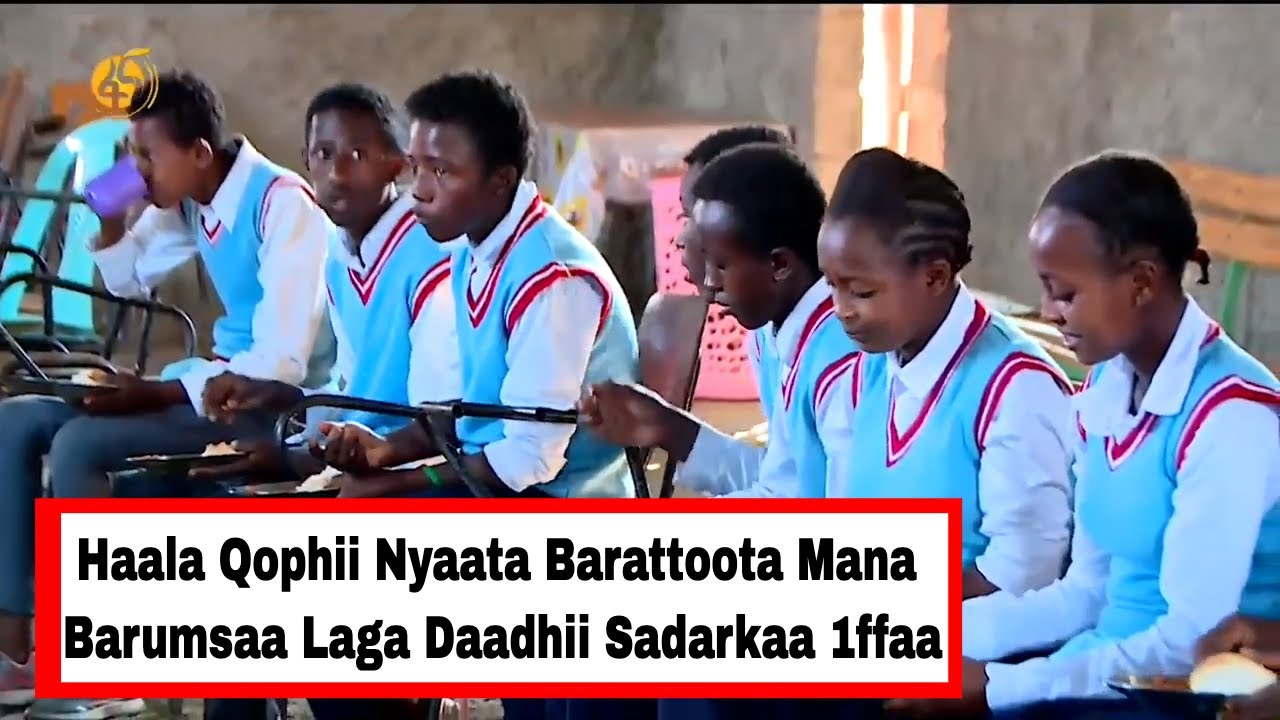 Haala Qophii Nyaata Barattoota Mana Barumsaa Laga Daadhii Sadarkaa ...