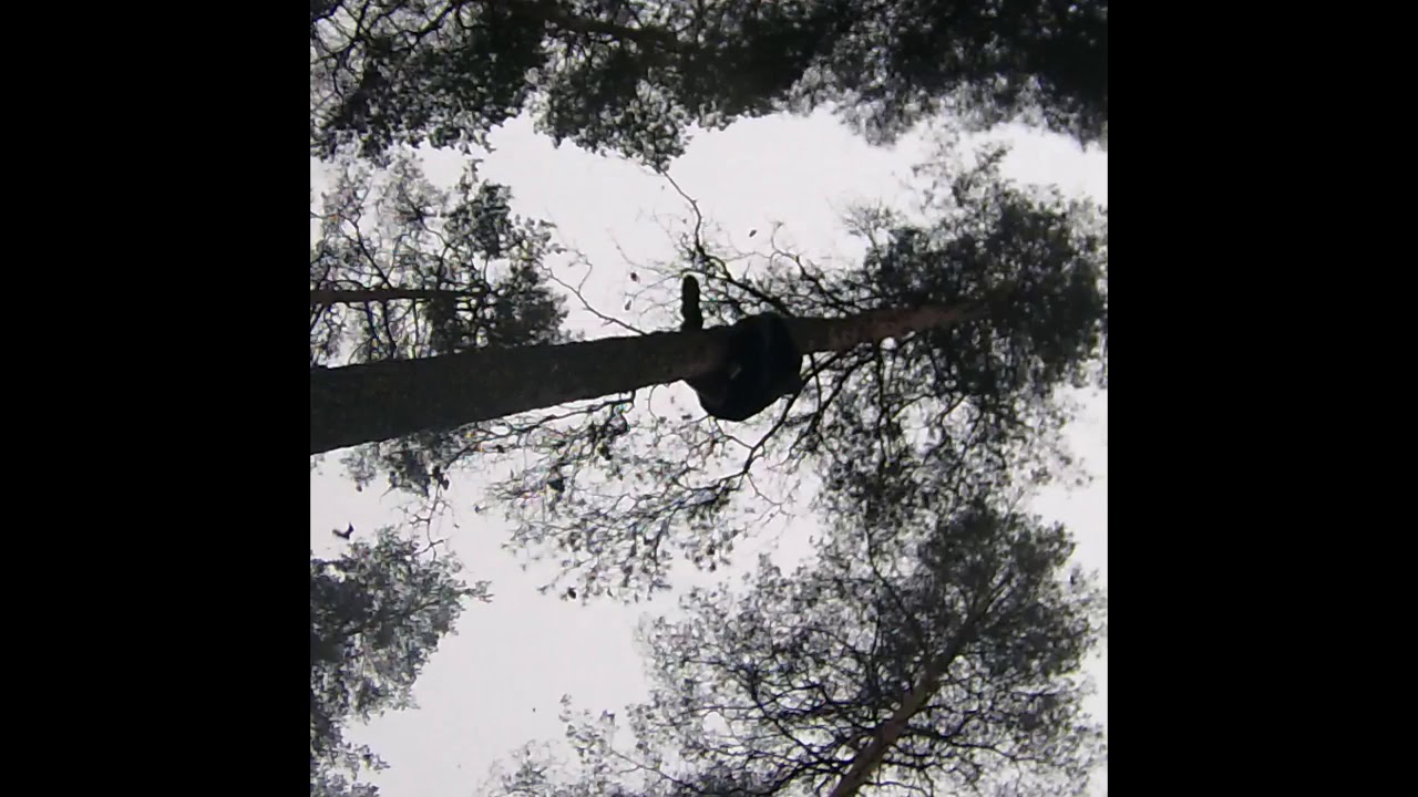 Tutorial: How to come down a tree safely - YouTube