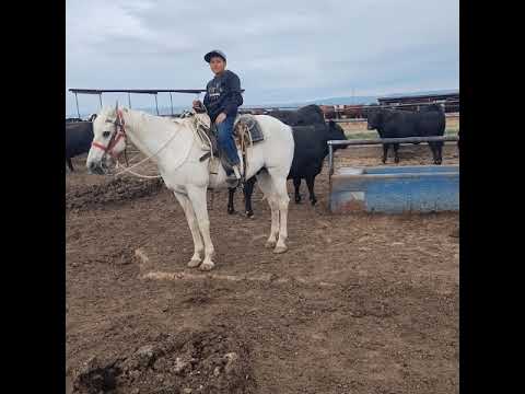 Bryeon Live Stream - YouTube