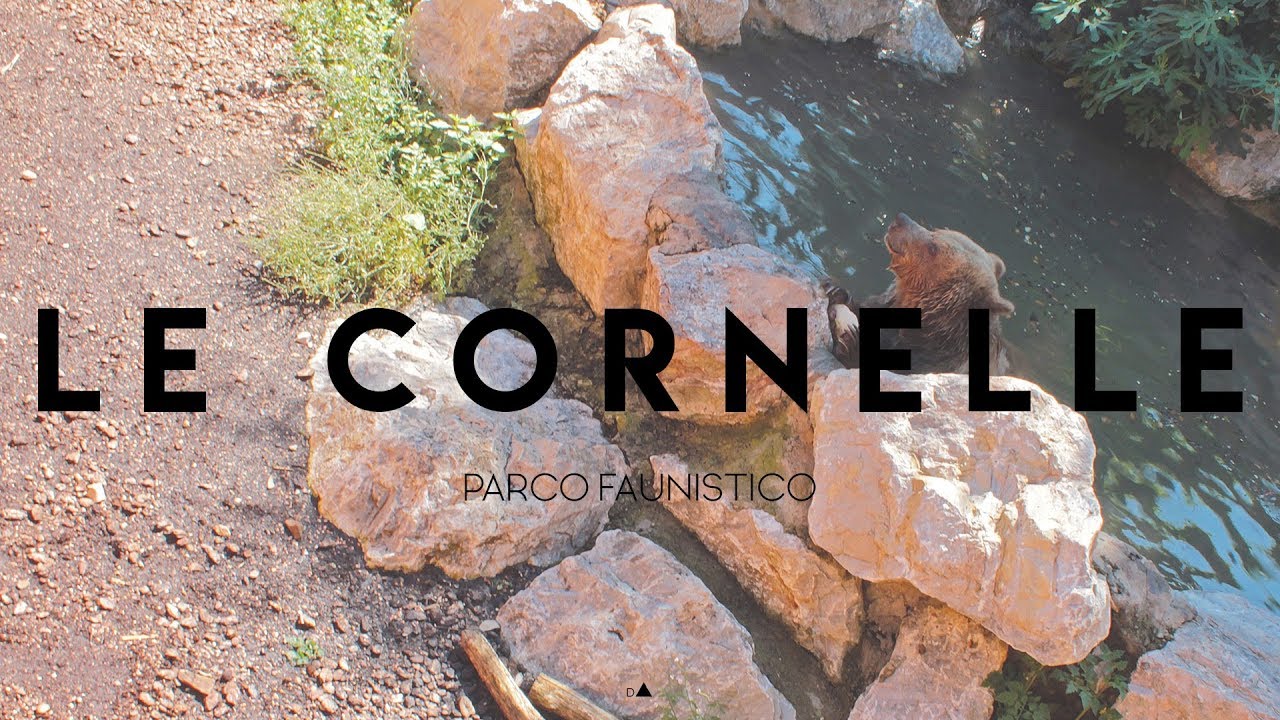 Parco Faunistico Le Cornelle | Valbrembo - YouTube
