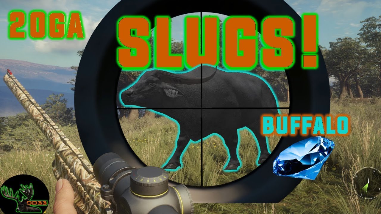 20ga SLUG HUNTING for Water Buffalo!! TheHunter Call of the Wild 2019 ...