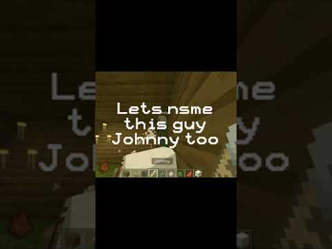 What Happens When You Name A Vindicator "Johnny"?... #minecraft #shorts ...