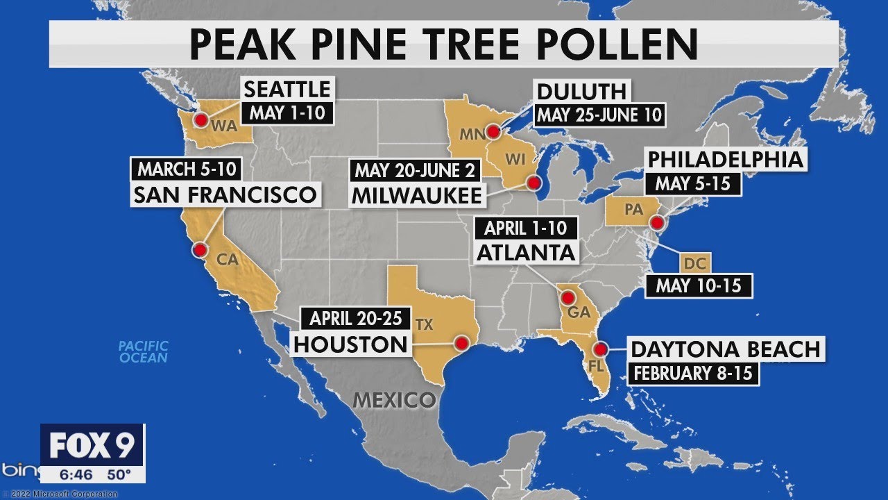 Allergy season has arrived I KMSP FOX 9 - YouTube