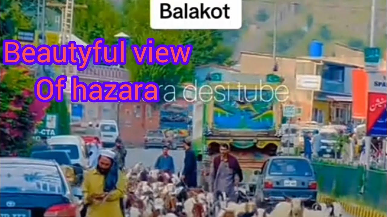 Balakot view ||bridge of balakot . goat and sheep . . summer season ...