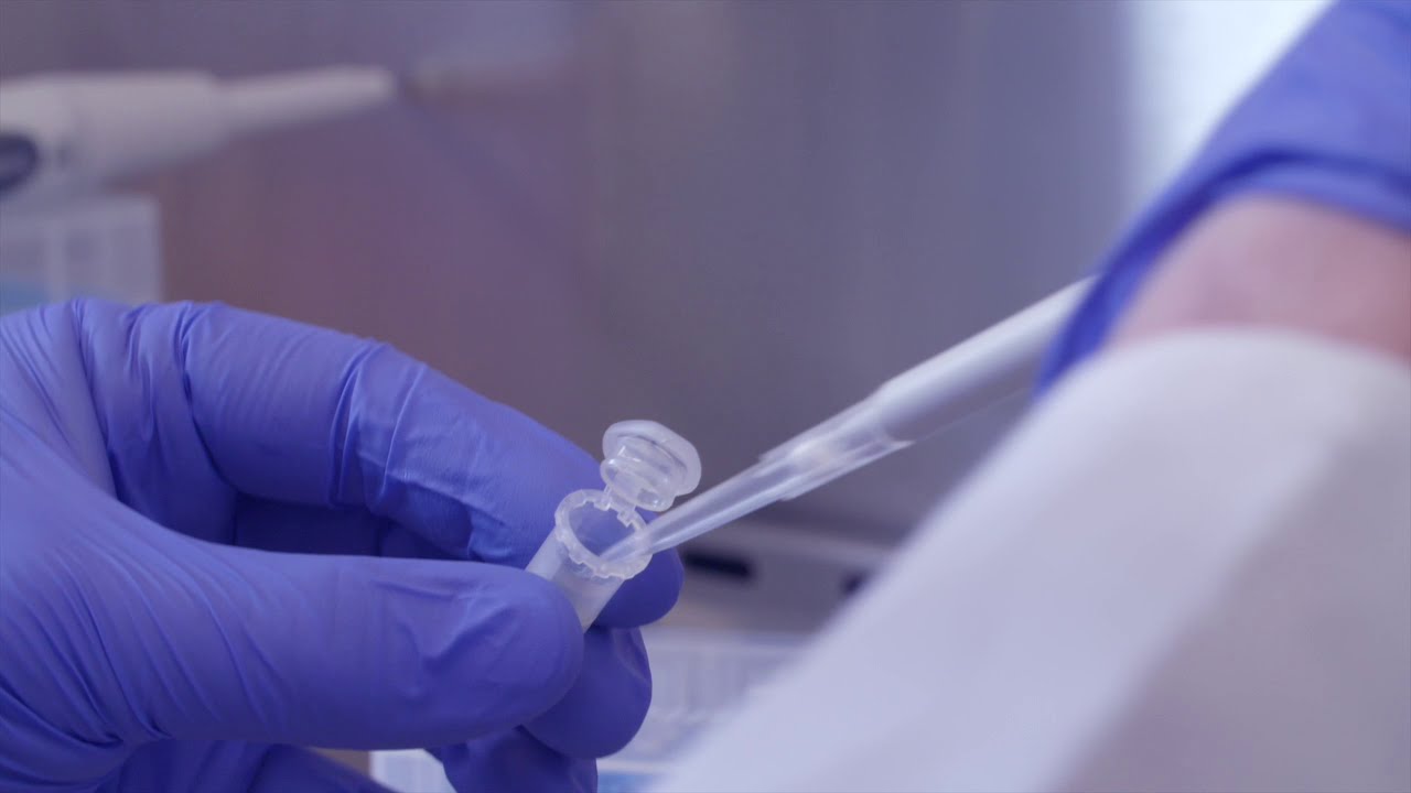 Plasmid Factory - Produktvideo englisch - YouTube