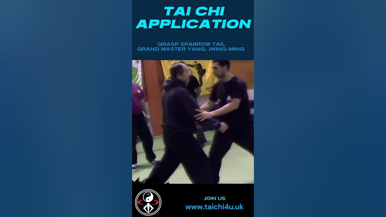 Grasp Sparrow’s Tail - Tai Chi Application - YMAA - YouTube