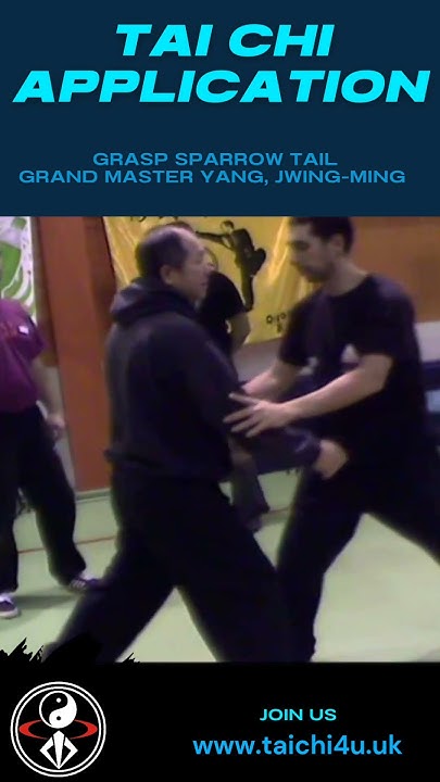 Grasp Sparrow’s Tail - Tai Chi Application - YMAA - YouTube
