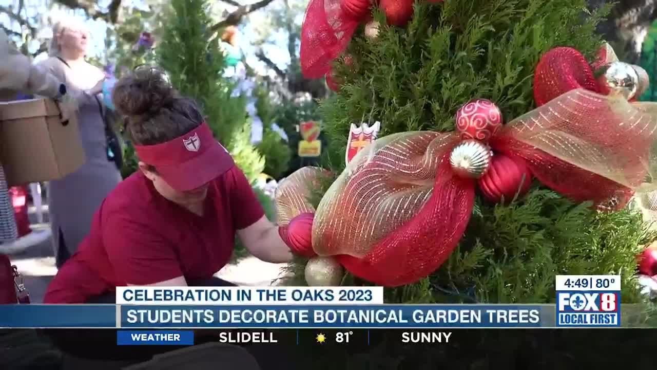Local high school students decorate trees for Celebration in the Oaks ...