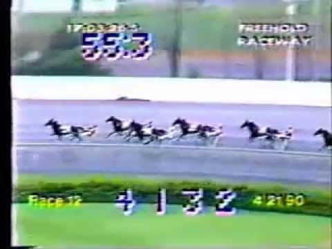 1990 Freehold Raceway DORUNRUN BLUEGRASS Track Record - YouTube