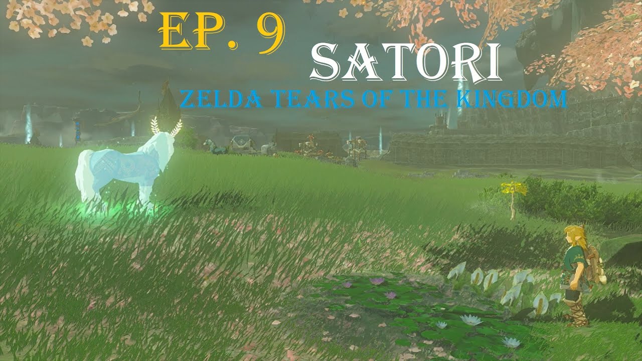 EP. 9 - SATORI - ZELDA TEARS OF THE KINGDOM - YouTube