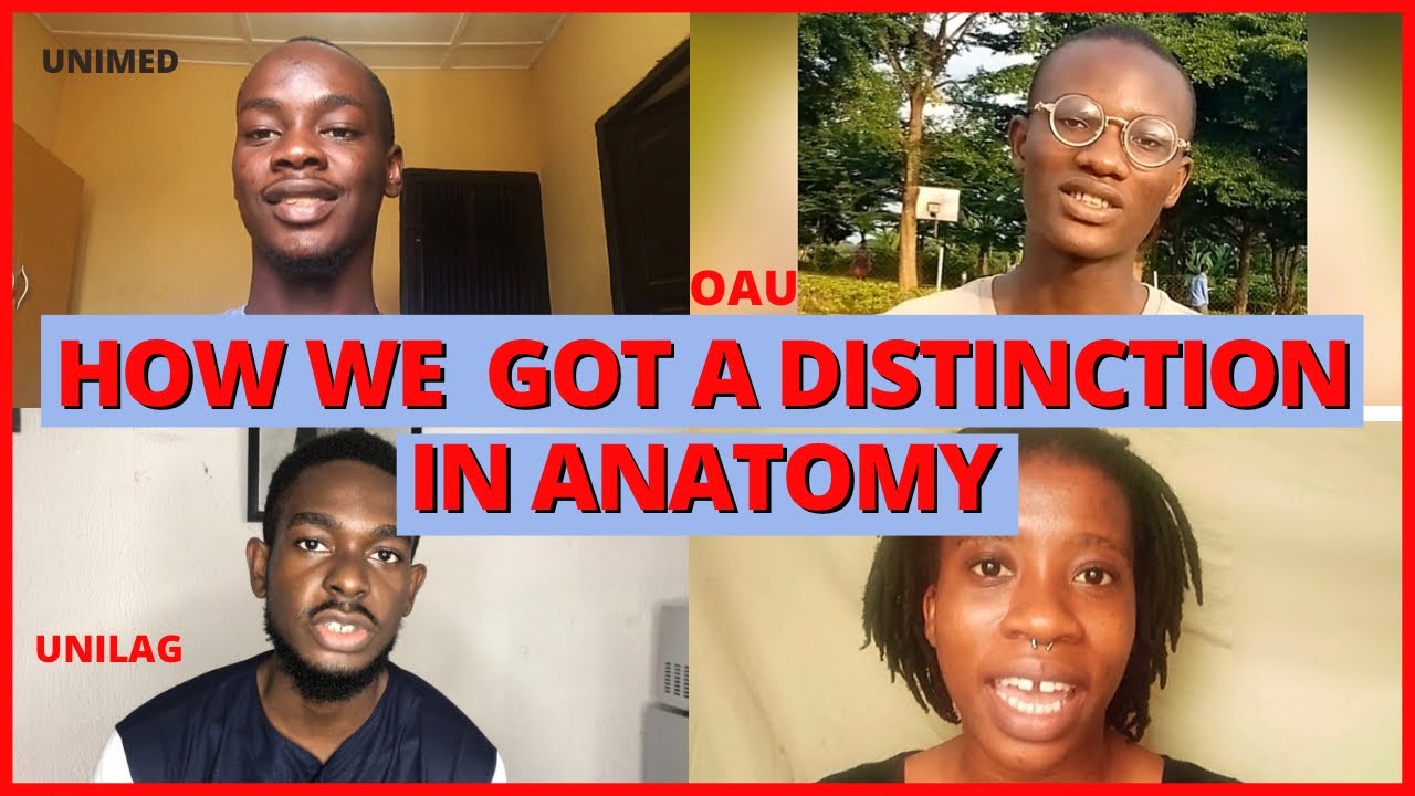 HOW TO GET A DISTINCTION IN ANATOMY! | TESTED AND TRUSTED! - YouTube