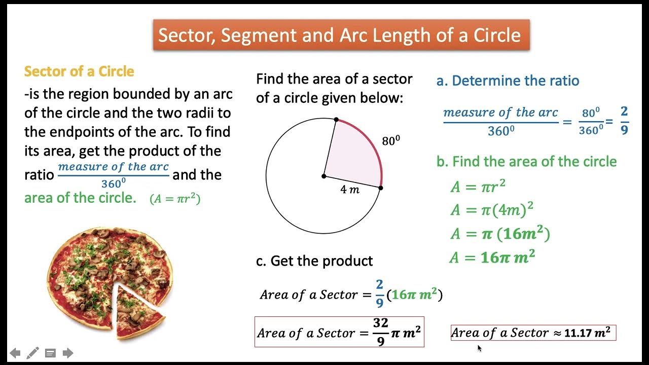 Sector, Segment and Arc Length of a Circle - YouTube