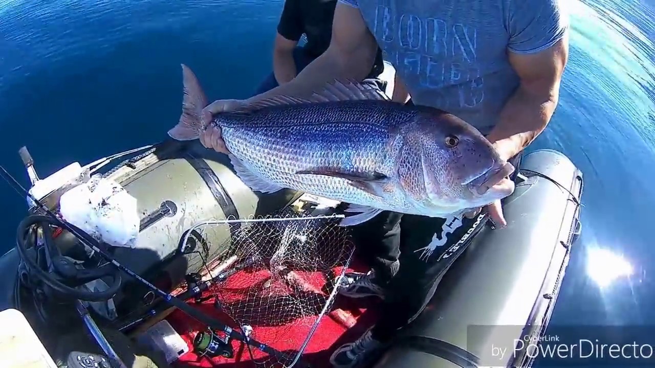 ΣΥΝΑΓΡΙΔΑ...! LIVE STRIKE! Ζογκα vs black minnow...! " τυχη vs ατυχιας ...