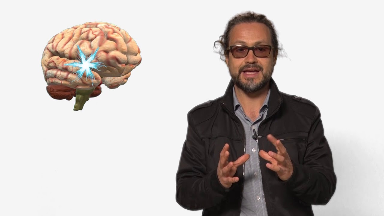 ¿Cómo afecta el estrés al cerebro? #CienciaUN - YouTube
