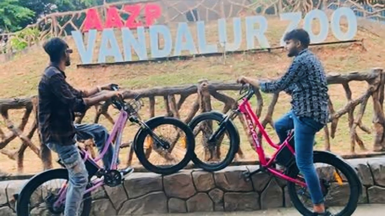 vandalur zoo Chennai - YouTube