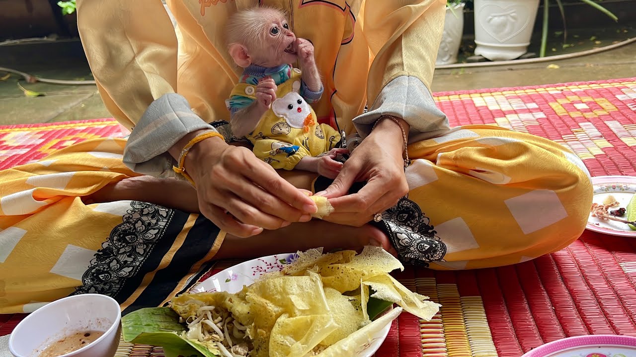 My Girl monkey DoRI hang out to get snack at the restaurant with Family ...
