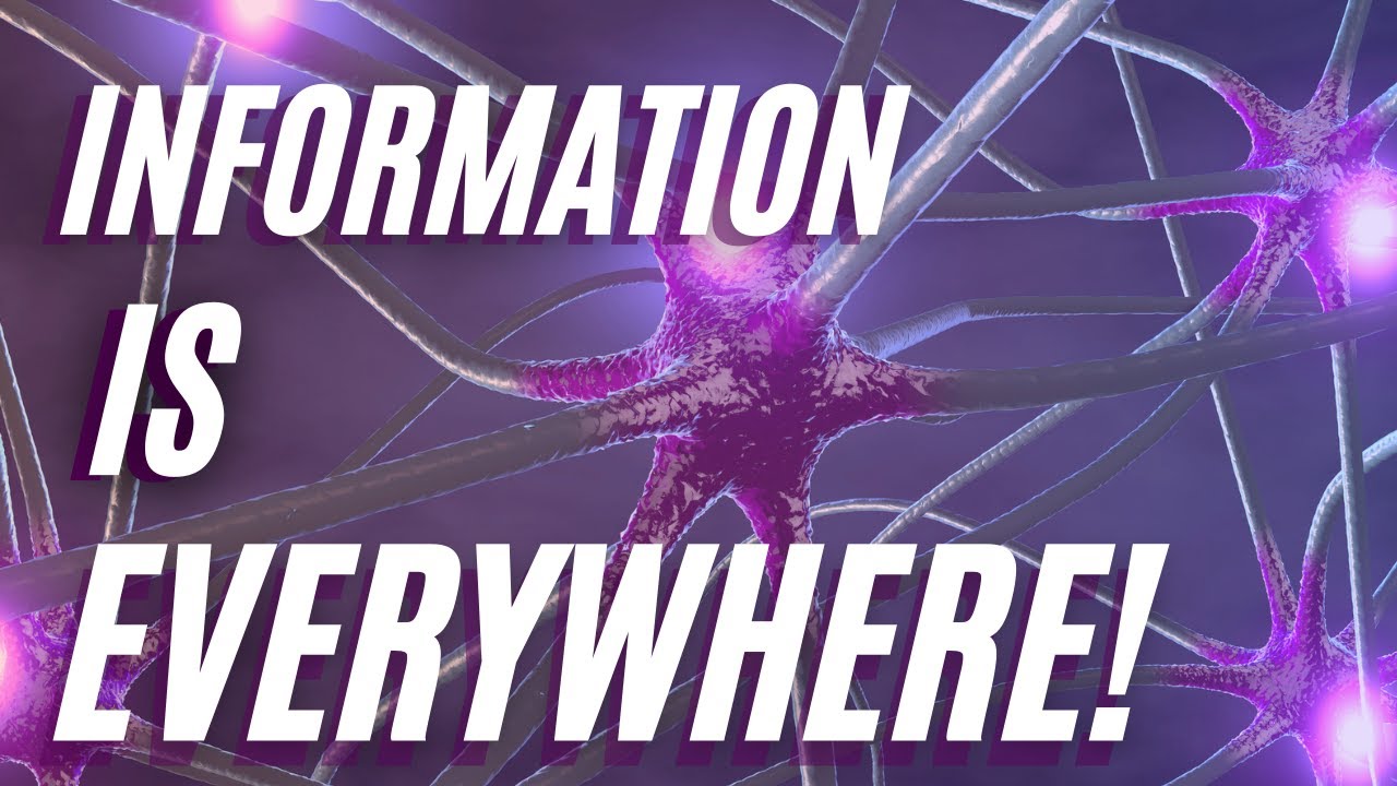 Information is Everywhere. Accessing the Akasha field- LBL session with ...