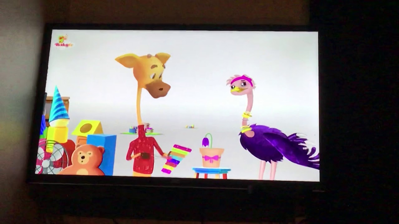 Gee -Raffa Ostriches favourite flower English - YouTube