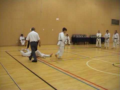 Ippon-Waza von Andre Bertel (Shotokan-Karate)