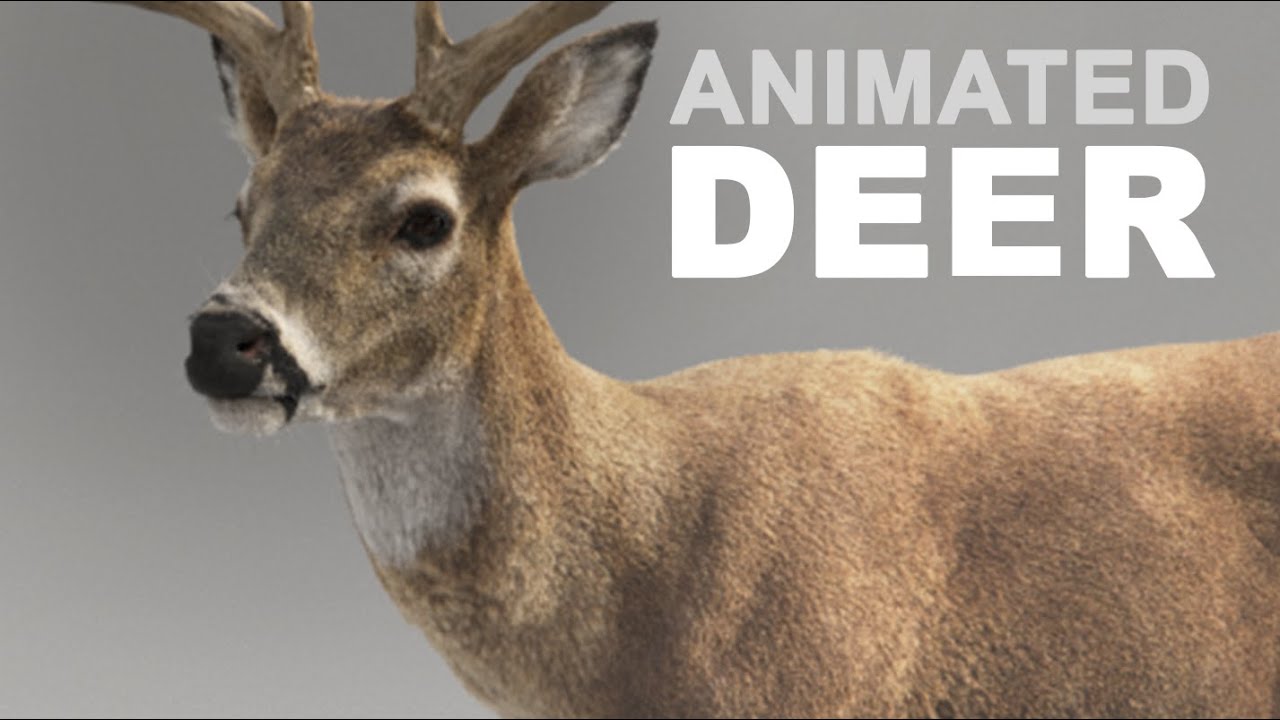 CG Deer Animated - YouTube