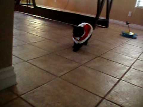 Mila as Santa