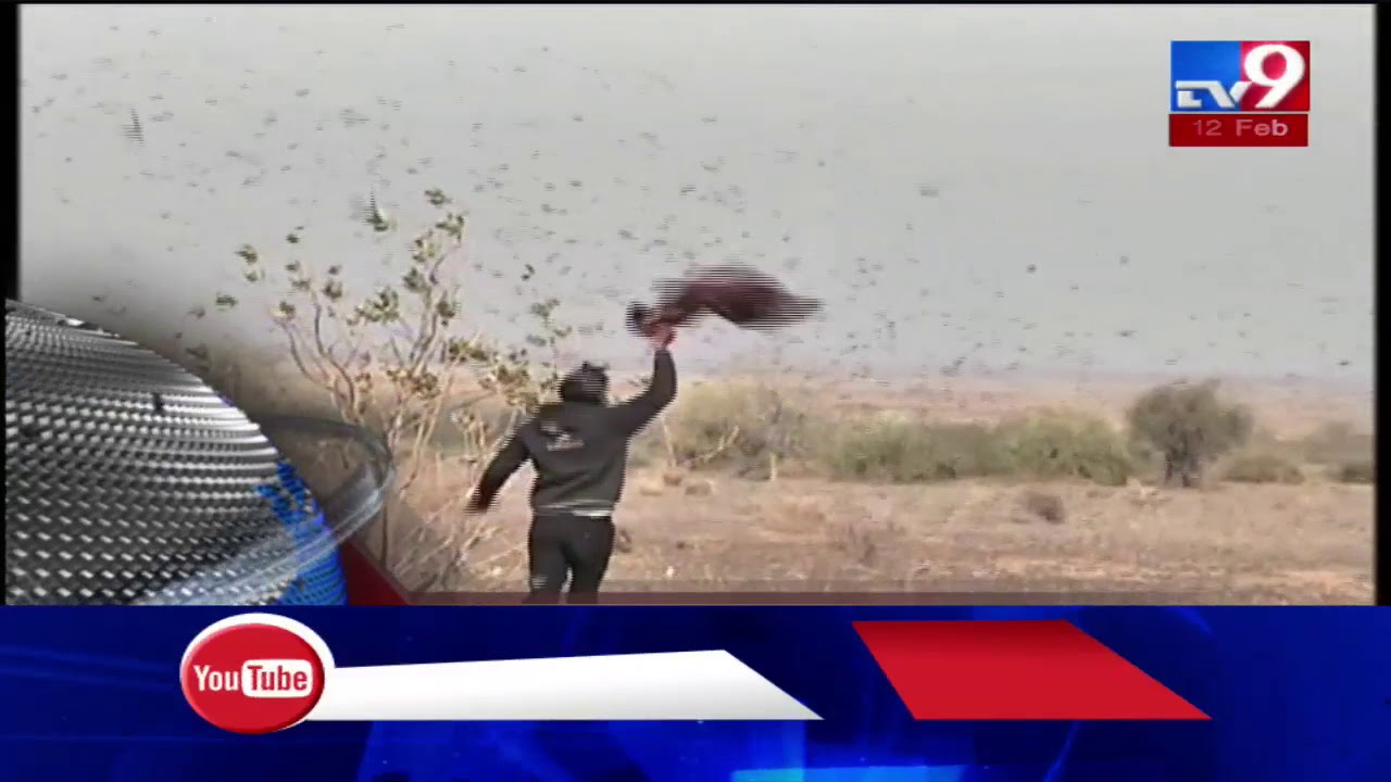 TV9 Headlines @ 10 AM: 12/2/2020| TV9News - YouTube