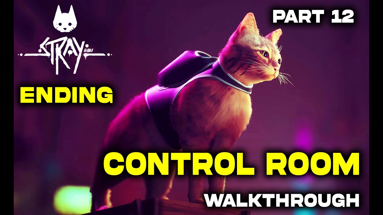 STRAY Ending - Control Room Complete Walkthrough | Chapter 12 | How ...