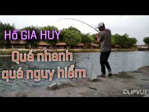 Tập 1. Hồ câu GIA HUY.an phú đông Q.12  #Bengb
