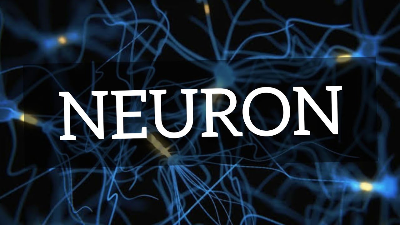 What is neuron? Structure and function|Biology Class 9 |Class 10 - YouTube