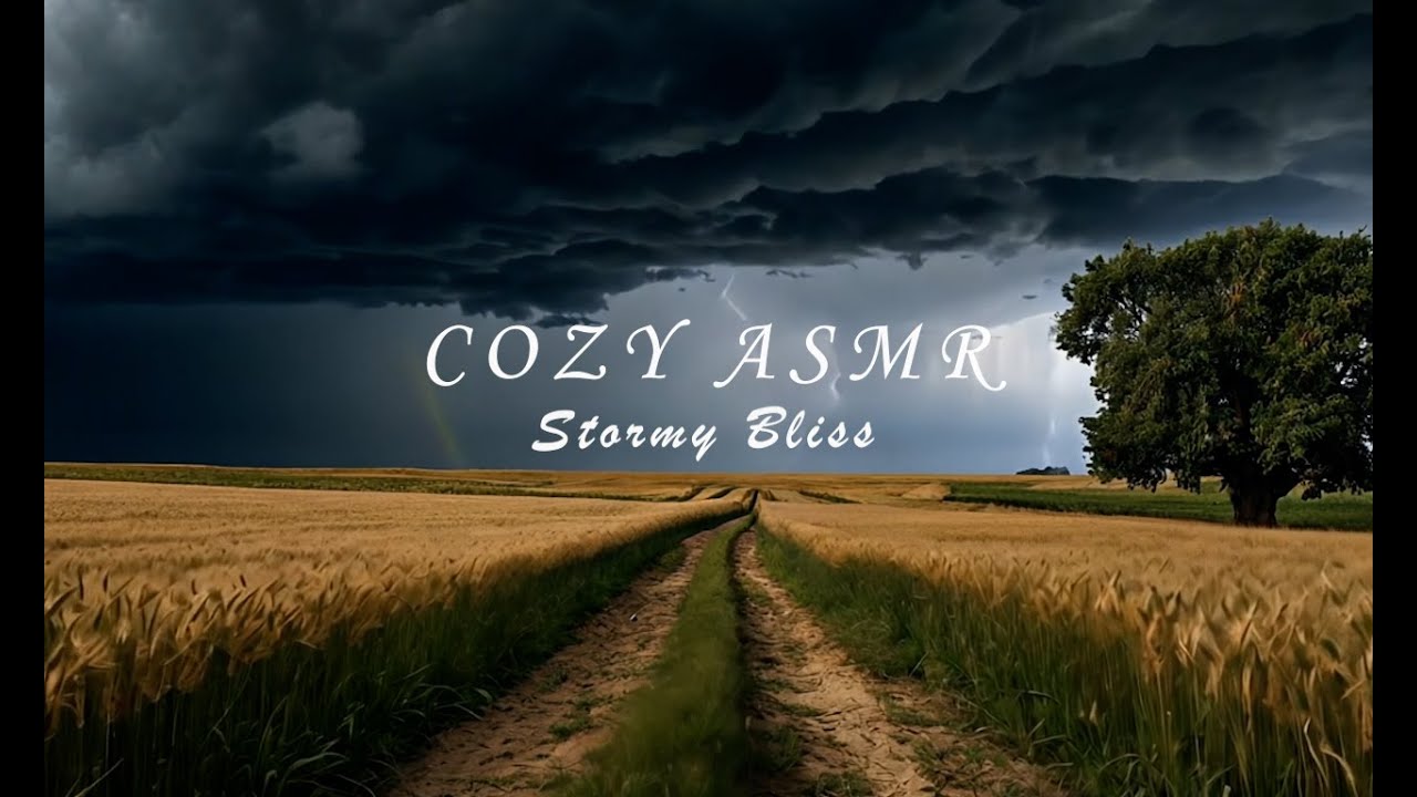 Stormy Night Ambience | 3 Hours of Relaxing Rain and Thunder Sounds for ...