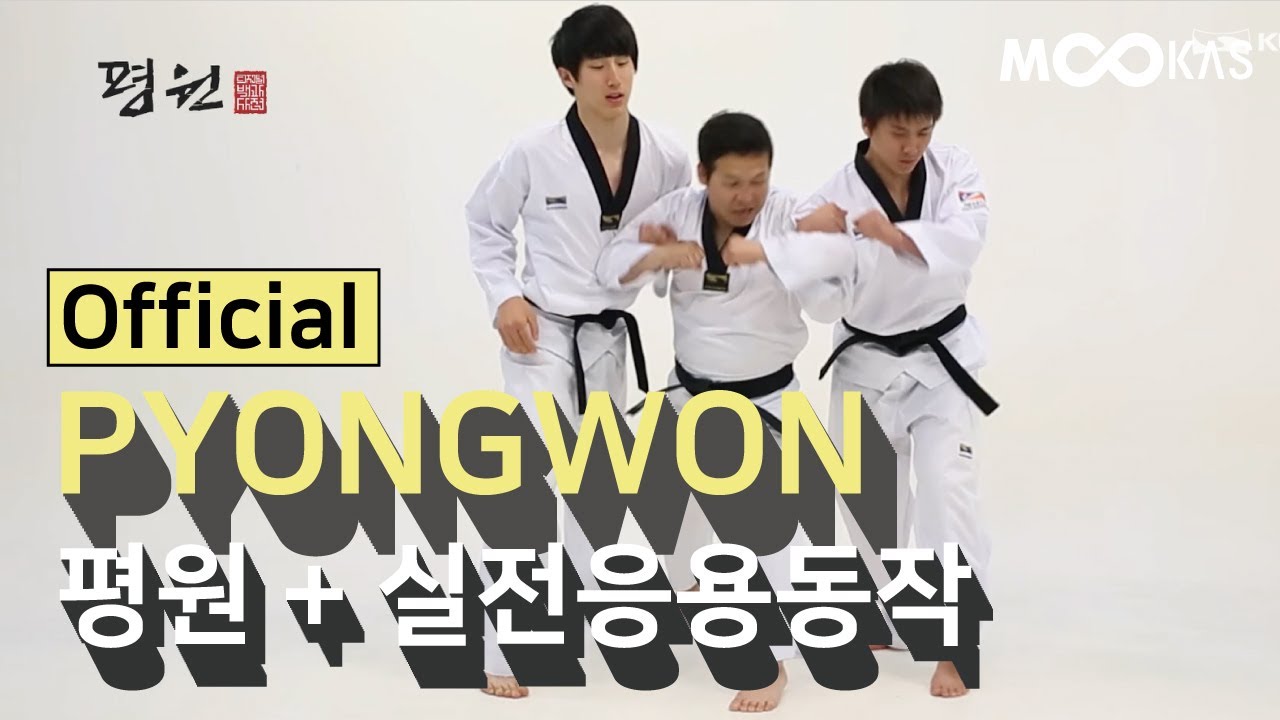 평원품새(PYONGWON POOMSAE) / 실전응용동작 (Actual Fighting Application ) - YouTube
