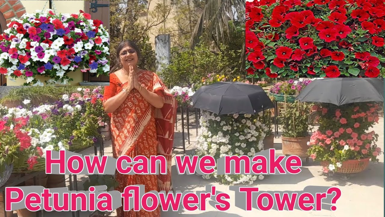 How can we make Petunia flower's Tower? Let's know from Sujata Didi ...