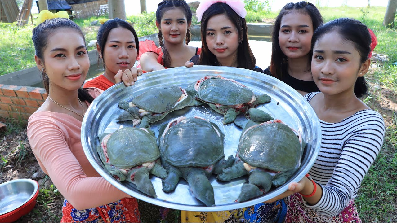 Wow amazing cooking turtle with salt recipe - YouTube