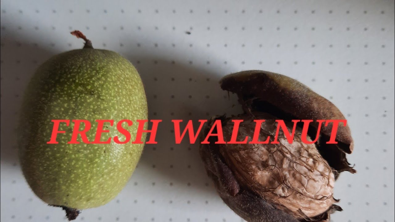 Enjoy Viewing My SLs With Fresh Wall Nuts. - YouTube