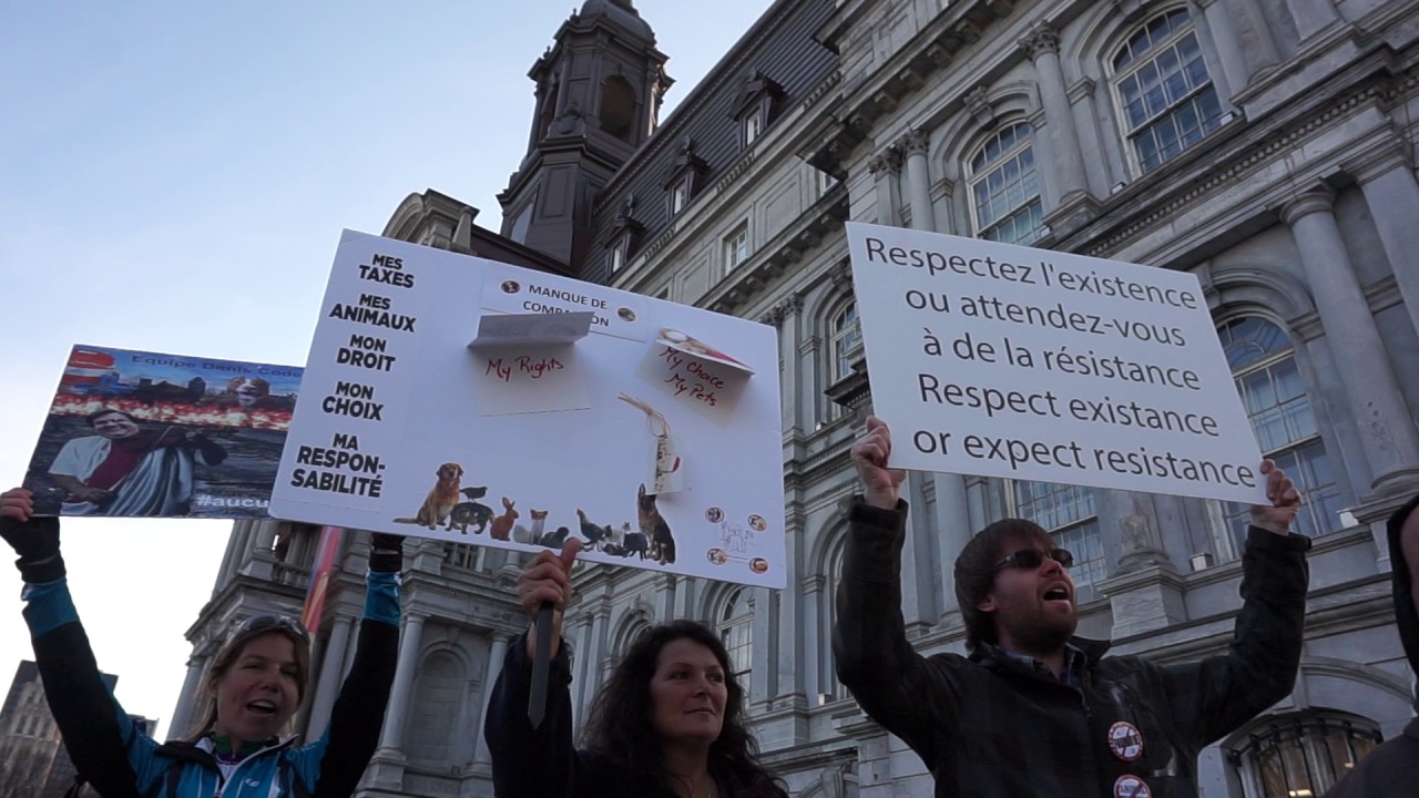 Anti BSL Protest Outside Montreal City Hall Monday April 24 2017 00015 ...