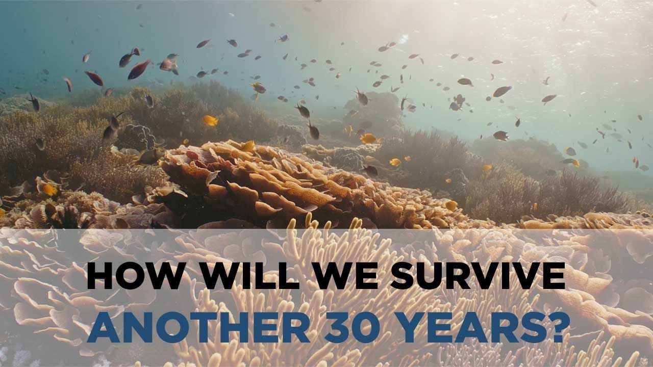 Act 1: How Do We Get There? | The Road to 2050 - YouTube