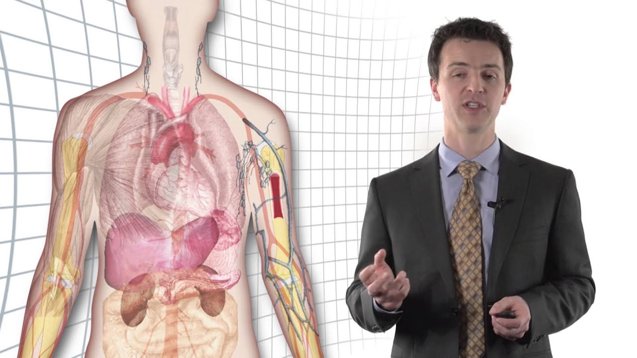 Organ Assist - YouTube