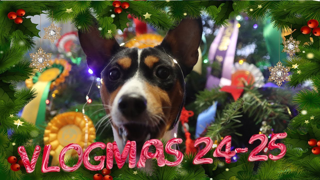 Vlogmas 24-25: Sv Kucios ir Kaledos! - YouTube