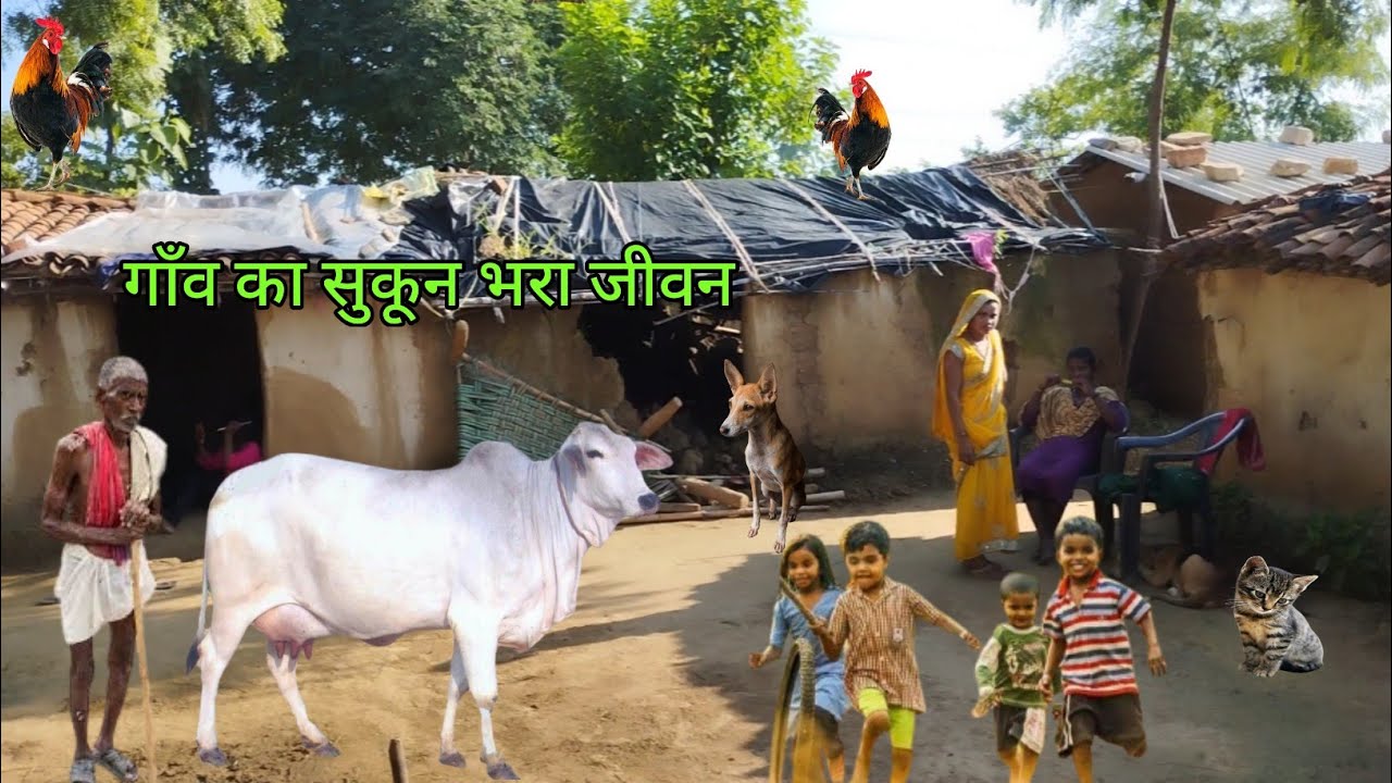 village tour । beautiful village life in india 🤷‍♀️Indin real village ...