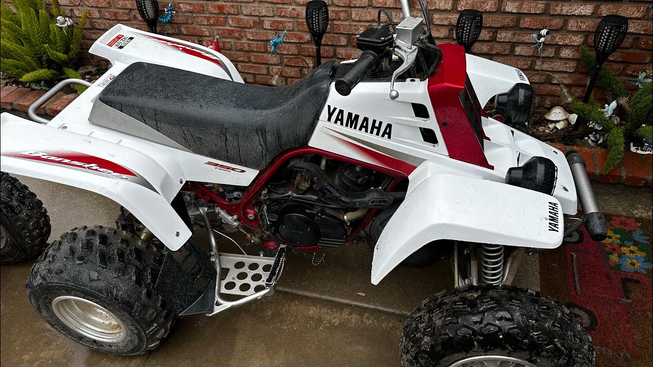 True Barn find! Yamaha banshee and blaster! - YouTube