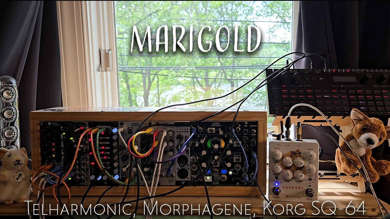 Marigold - Generative Ambient Eurorack Modular piece no. 123 - Telharmonic, Morphagene, Korg SQ ...
