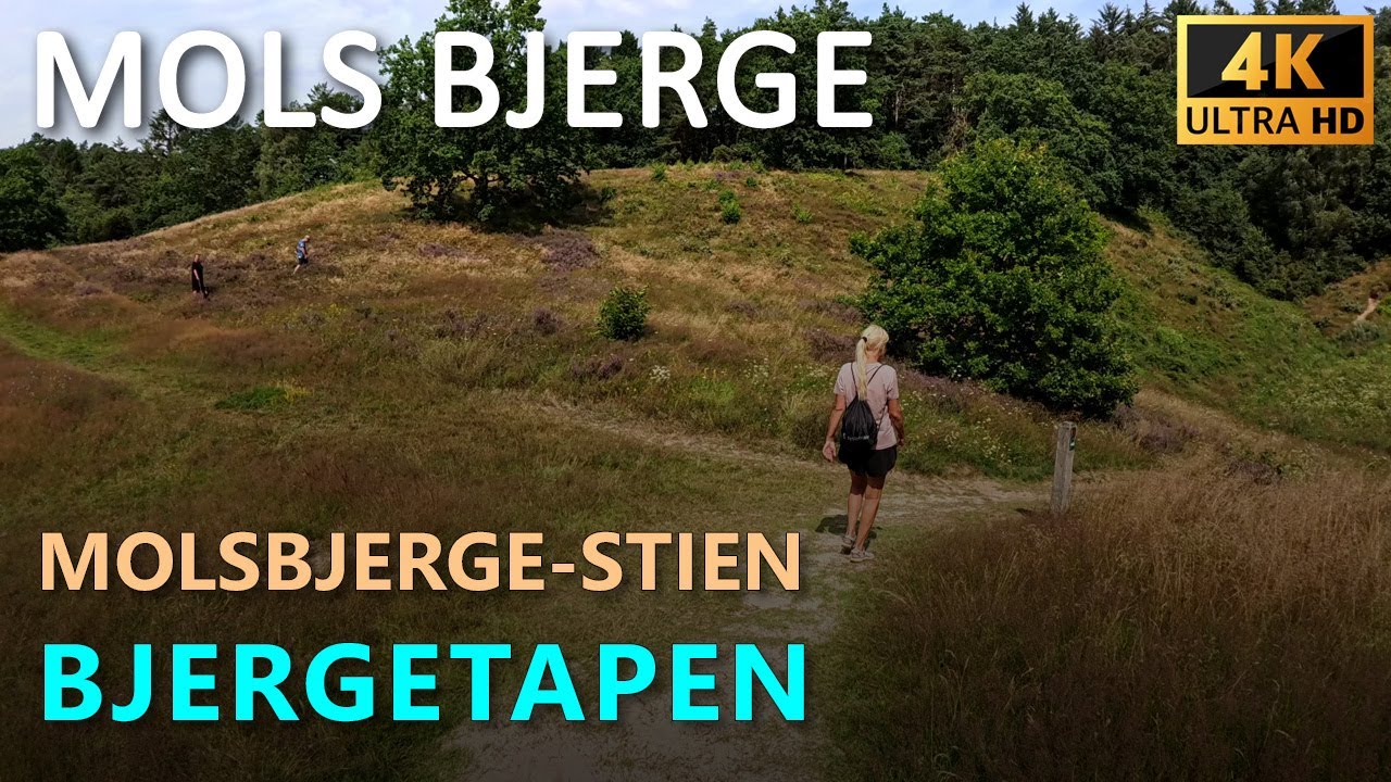 Vandretur i Mols Bjerge. Mols Bjerge Stien, Bjergetapen. - YouTube