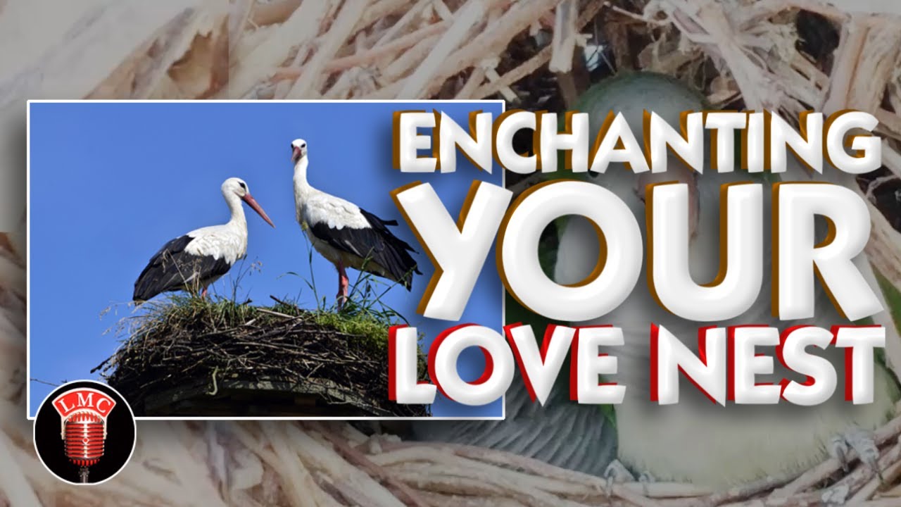 Enchanting Your Love Nest Lucky Mojo Hoodoo Rootwork Hour 2/9/25 (Miss ...